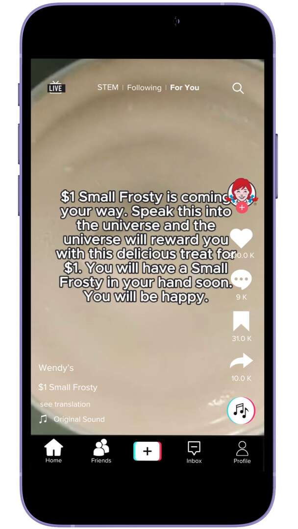How Wendy’s Scaled TikTok Ads to Connect with Young Audiences